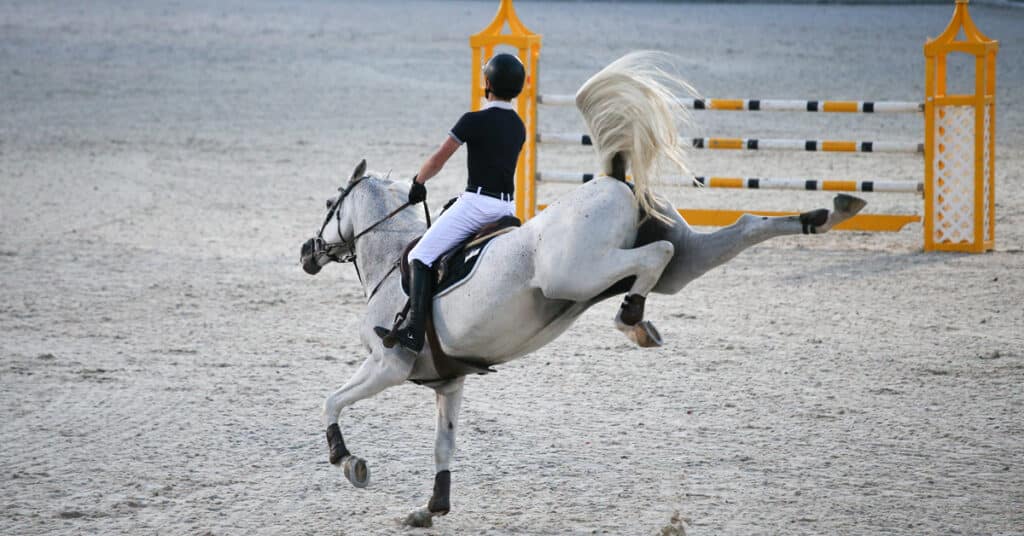 Is My Horse in Pain Under Saddle?