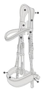 Bridle Fit and Equine Welfare and Performance