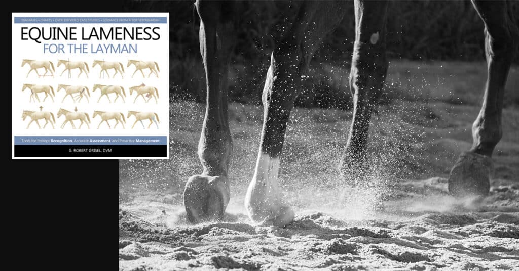Identifying Lameness in Your Horse