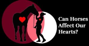 Human/Horse Heart Math: Does it Add Up?
