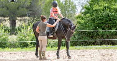 How to Set Up the Perfect Home Gym for Horseback Riders