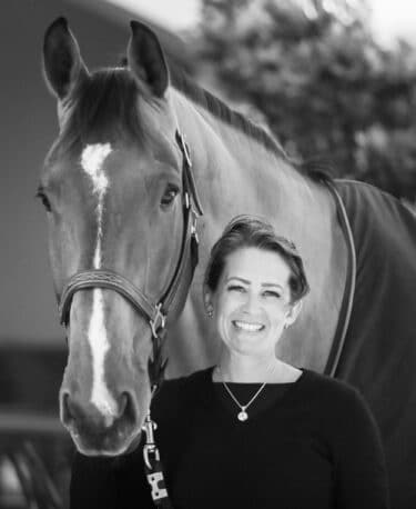 Spring Training: The Expandable Grid