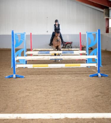 Spring Training: The Expandable Grid