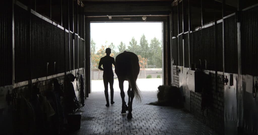 How to Set Up the Perfect Home Gym for Horseback Riders