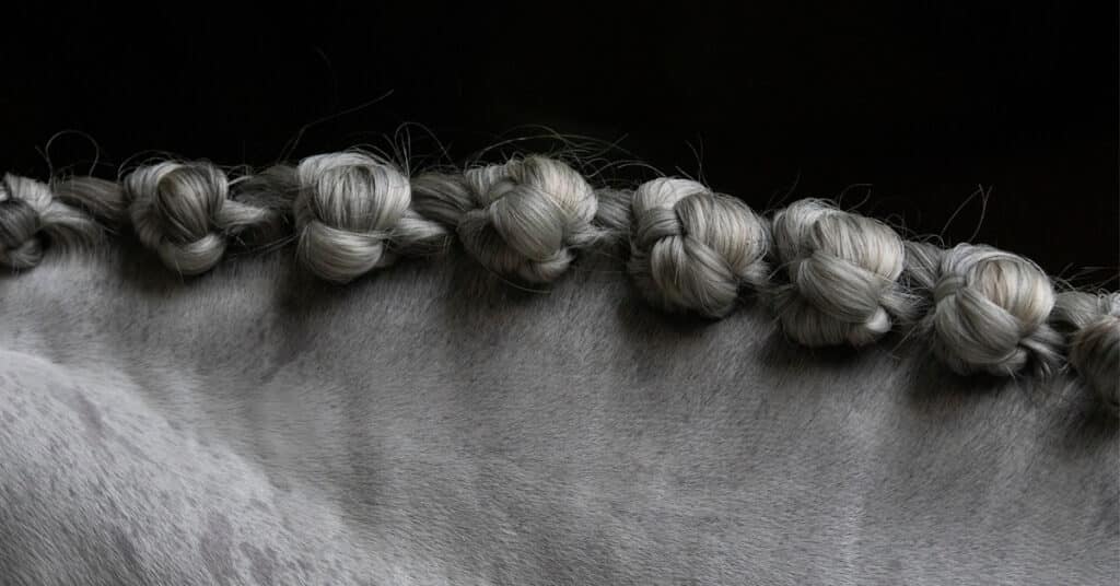 Mane & Tail Braiding Tutorials