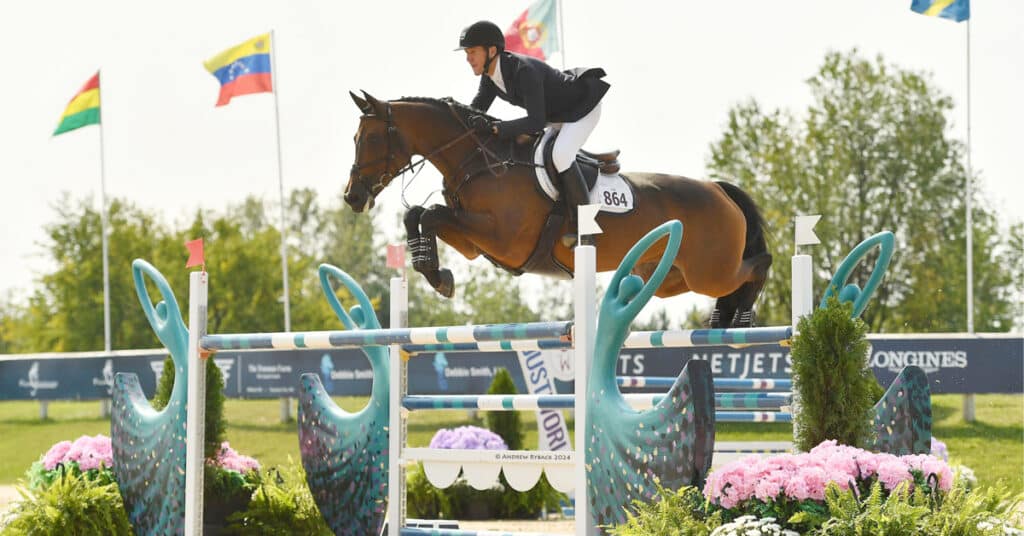 The Five Rein Aids (and How to Use Them)