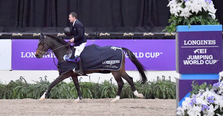 The Five Rein Aids (and How to Use Them)