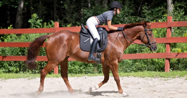 Lower Leg-Building Exercises for Riders