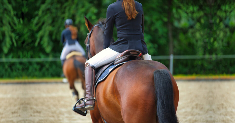 How to Set Up the Perfect Home Gym for Horseback Riders