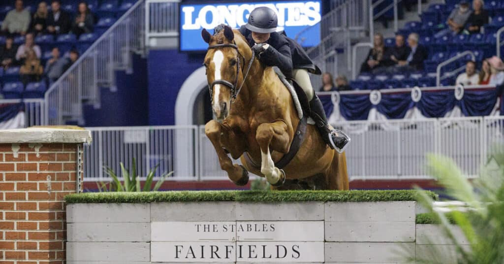 Isabelle Lapierre Wins Canadian Hunter Derby Series National ...