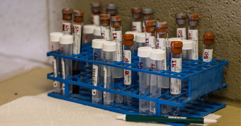 Looking Back in Pictures: Favourite Horses of the Past