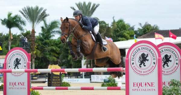 Unity and Communication: How to Really Listen to Your Horse