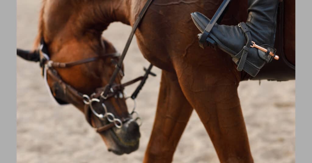 Hickstead's Cause of Death Revealed