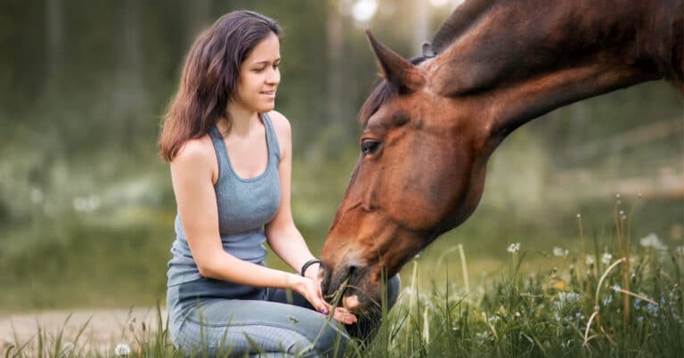 The Emotional World of Horses: Identifying Well-Being