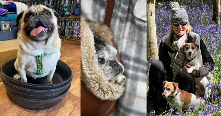 Excellence by Design: Peter Grant and Joey Rycroft