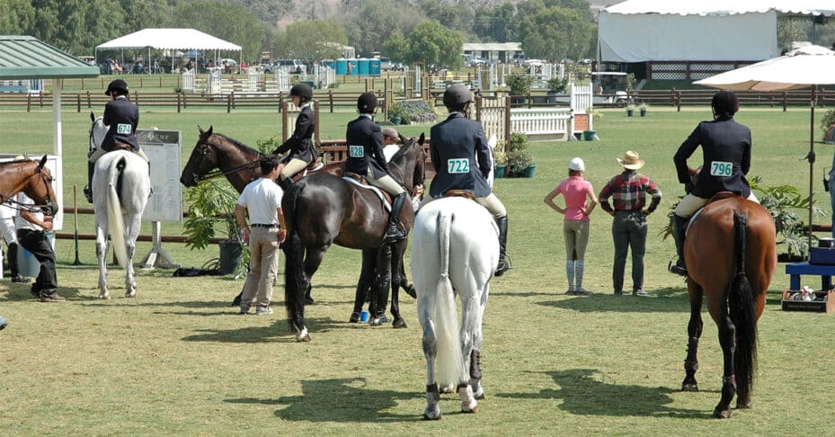 How to Pack Your Show Trunk for Winter Shows