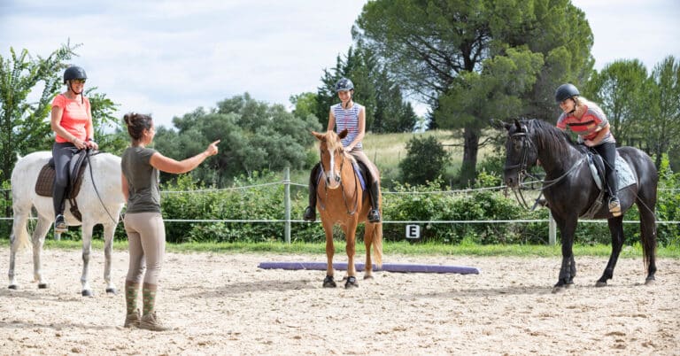 The Five Rein Aids (and How to Use Them)