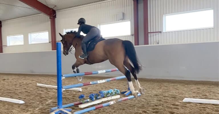 Jumping Lessons: Ways To Improve Straightness