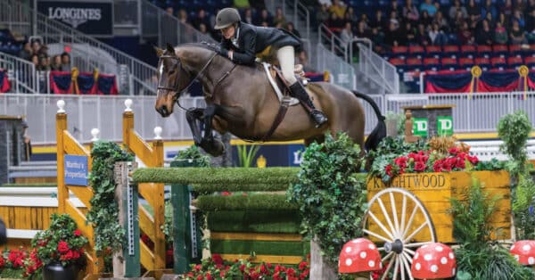 Hind Legs: What is Sickle-Hocked, Cow-Hocked, and Post-Legged?