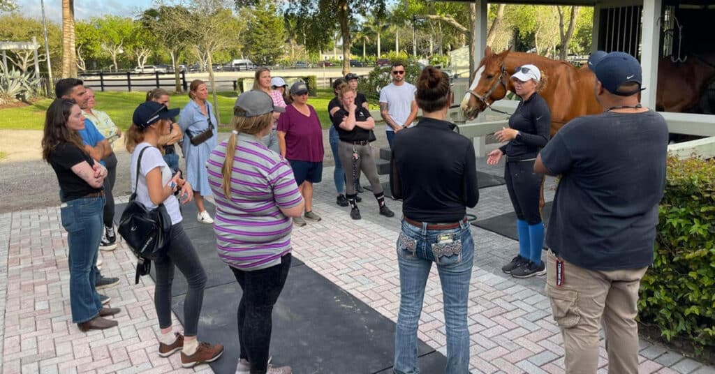 The Five Rein Aids (and How to Use Them)