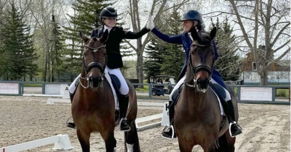 Hind Legs: What is Sickle-Hocked, Cow-Hocked, and Post-Legged?