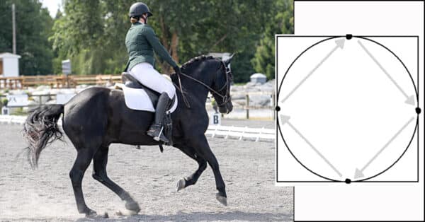 Hind End Issues and 8 Ways to Engage Your Horse