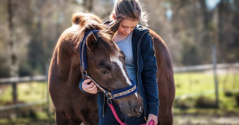 The Five Rein Aids (and How to Use Them)