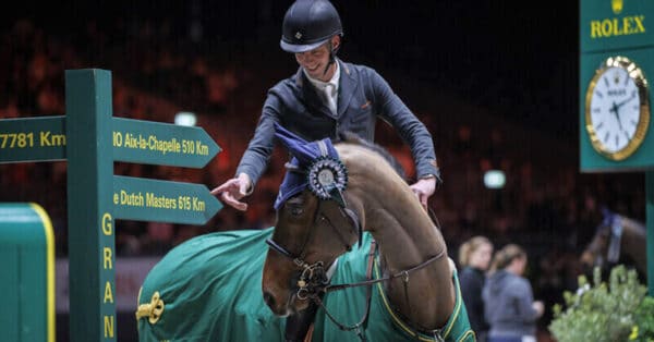 Hind Legs: What is Sickle-Hocked, Cow-Hocked, and Post-Legged?