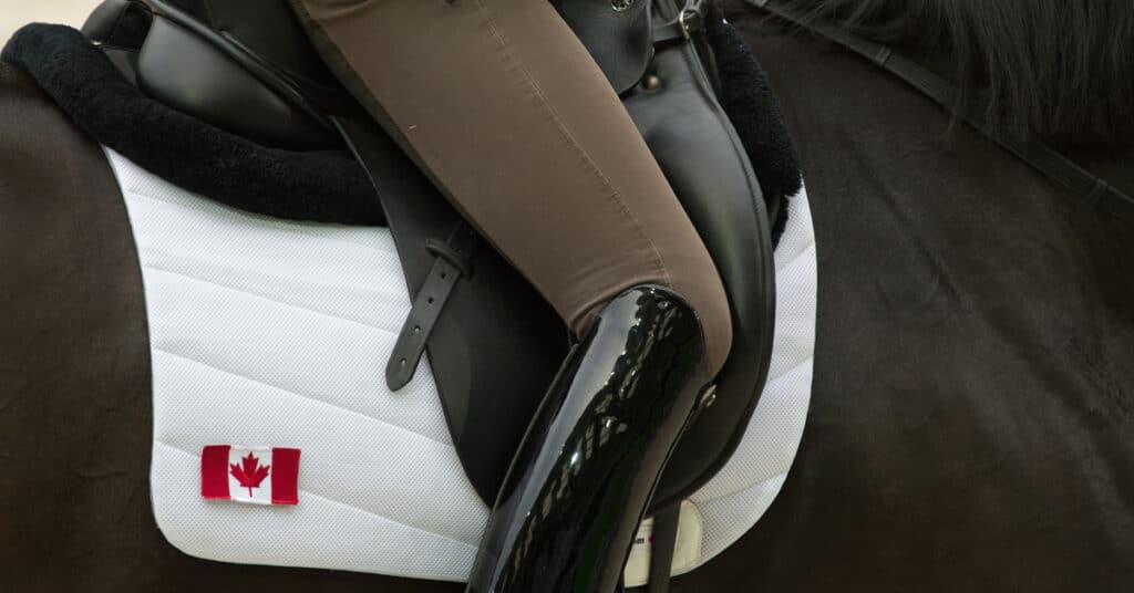 Hind End Issues and 8 Ways to Engage Your Horse