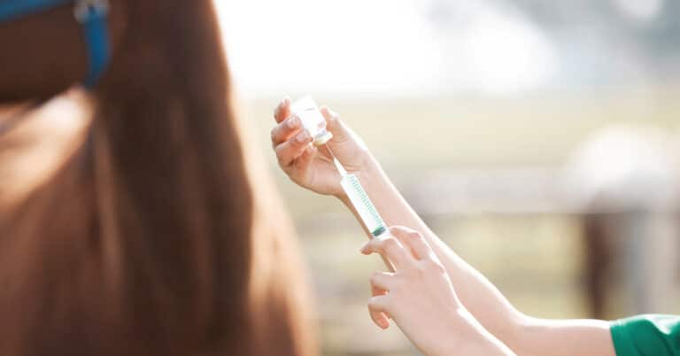 The Five Rein Aids (and How to Use Them)