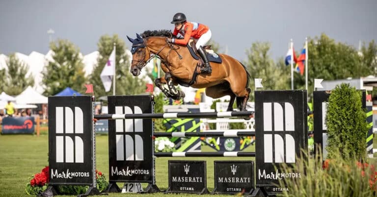 The Five Rein Aids (and How to Use Them)