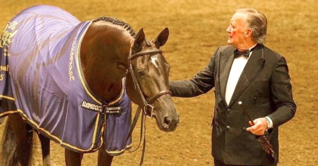 The Five Rein Aids (and How to Use Them)