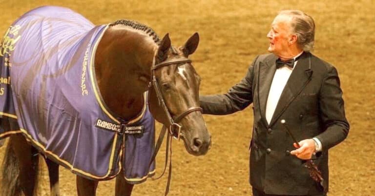 Hind Legs: What is Sickle-Hocked, Cow-Hocked, and Post-Legged?