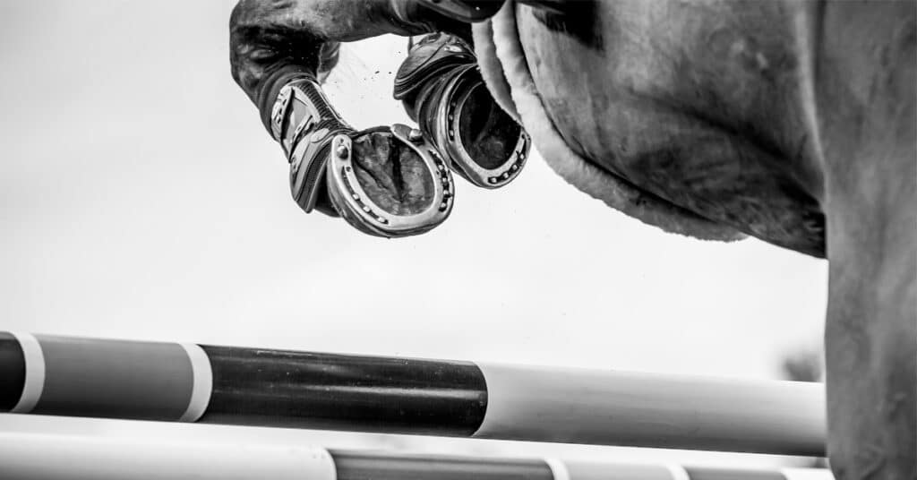 Hind Legs: What is Sickle-Hocked, Cow-Hocked, and Post-Legged?