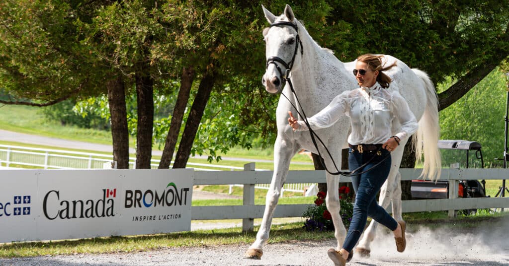 Ottawa Dressage Festival 2025 Returns to Wesley Clover Parks