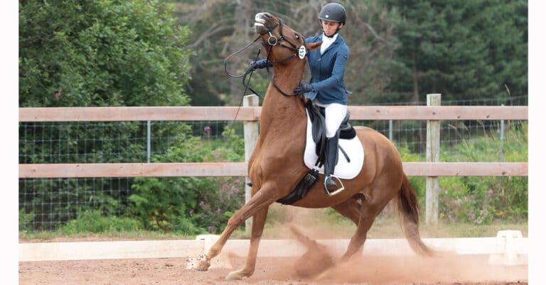 Ontario Equestrian: Driving Innovation and Community Growth