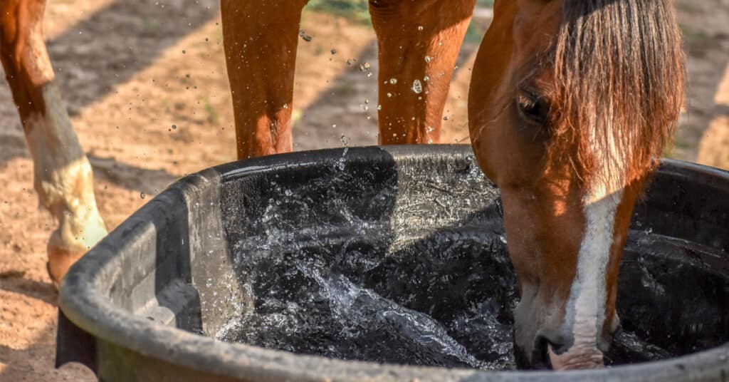Water Trough Hacks