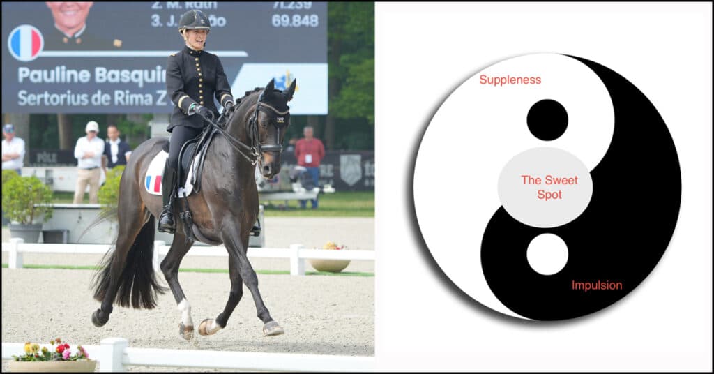 The Five Rein Aids (and How to Use Them)