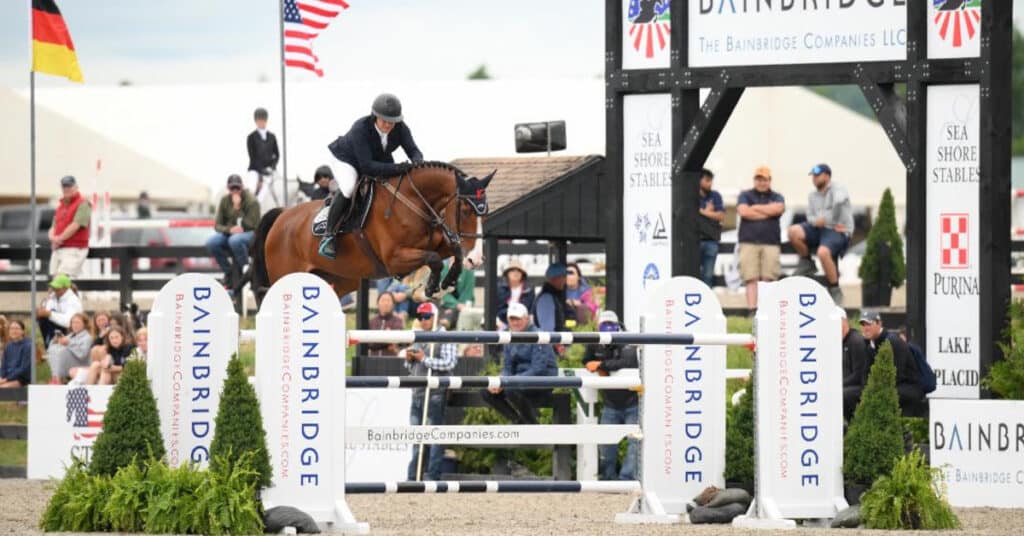 Corpora Nigra Cysts Can Affect Your Horse's Vision