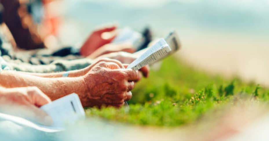 The Five Rein Aids (and How to Use Them)