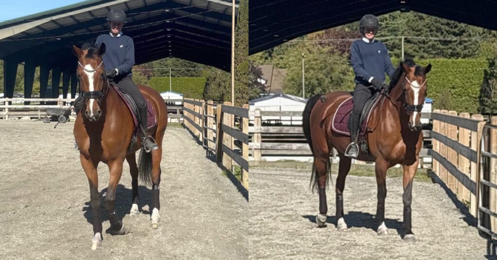 Meet the Dressage Twins, Travers and Renvers