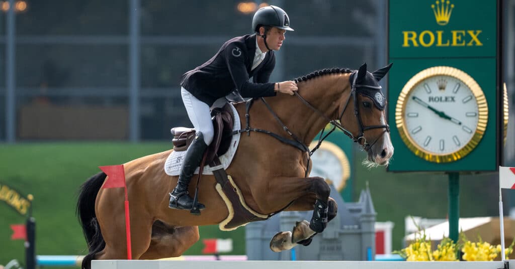 Training Young Horses Part 1: Early Groundwork