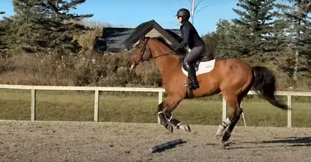 Jumping Lessons: The 27’ Pole Exercise