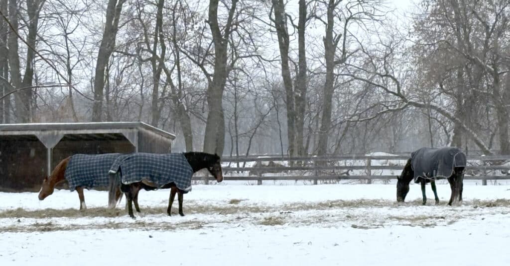 The Well-Organized Barn: Inside and Out